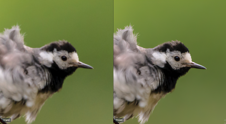 The Best Upsampling Software in 2021 - Shiny Prints Blog