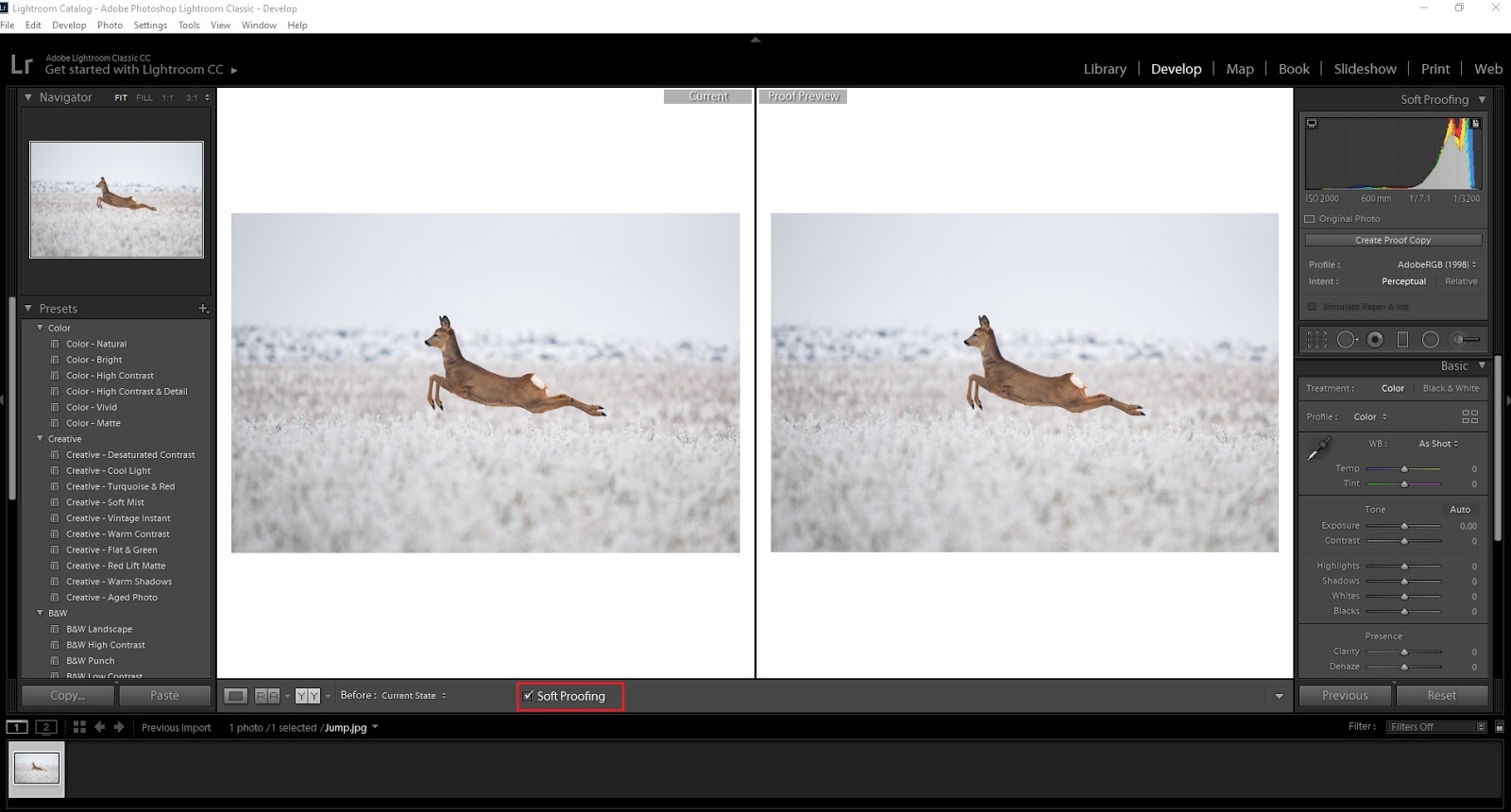 How to Prepare a Photo for Printing - Shiny Prints Blog