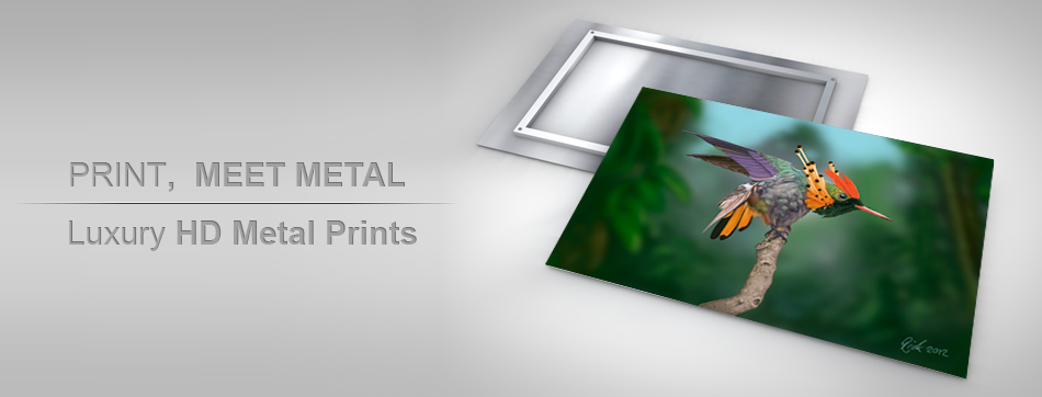 Metal Prints for Photographers and Artists
